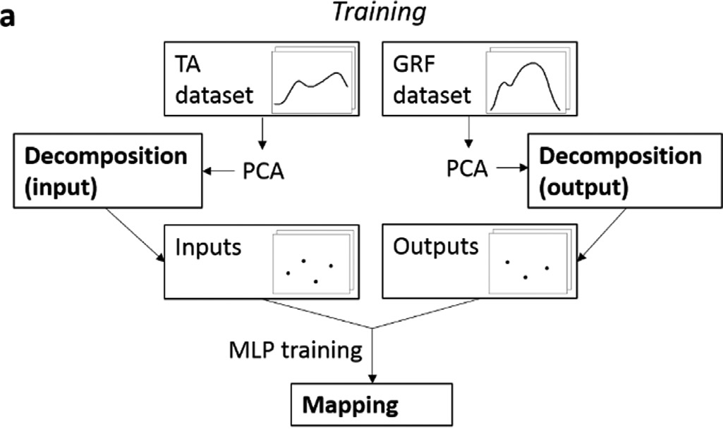 A neural network method to predict task- and step-specific ground reaction force magnitudes from ...